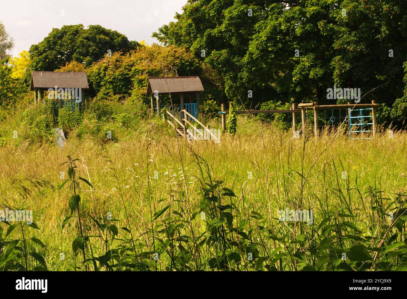 A playground which is completely overgown with grass, nettles and wild ...