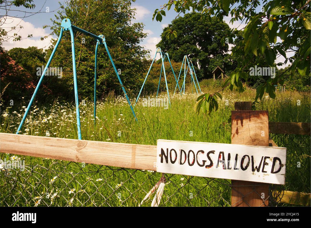A playground which is completely overgown with grass, nettles and wild ...