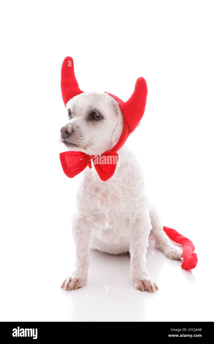 Red devil satan lucifer demon hi-res stock photography and images - Alamy