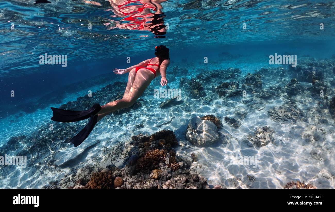 A woman in mask with snorkel and fins diving underwater. Freediving on ...
