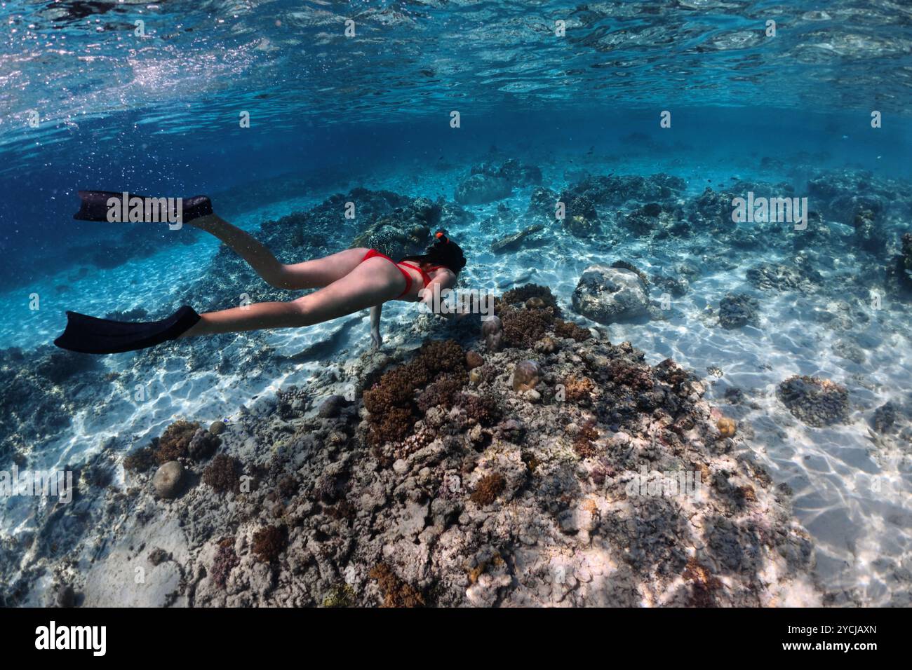 Young woman in mask with snorkel and fins dives underwater closer to ...
