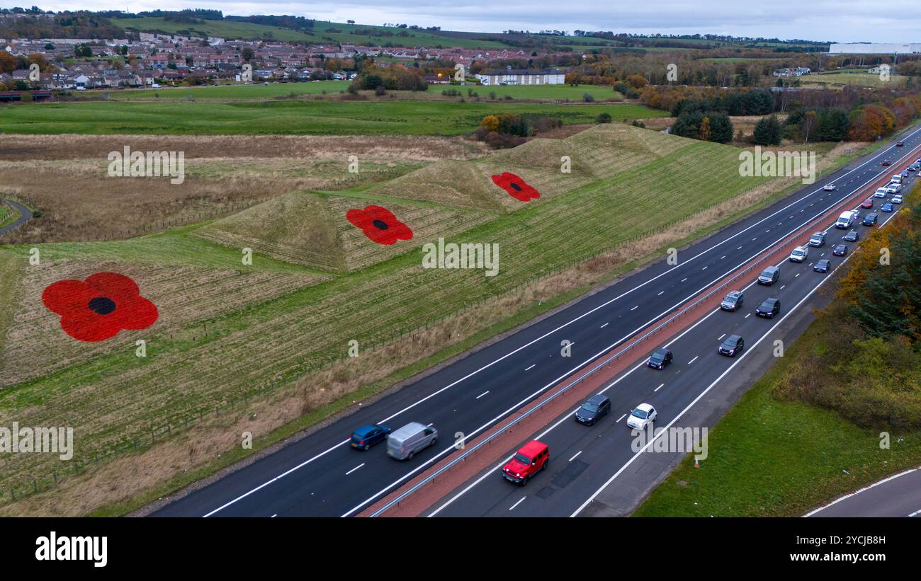 Giant poppies painted onto the grass pyramids alongside the M8 motorway ...