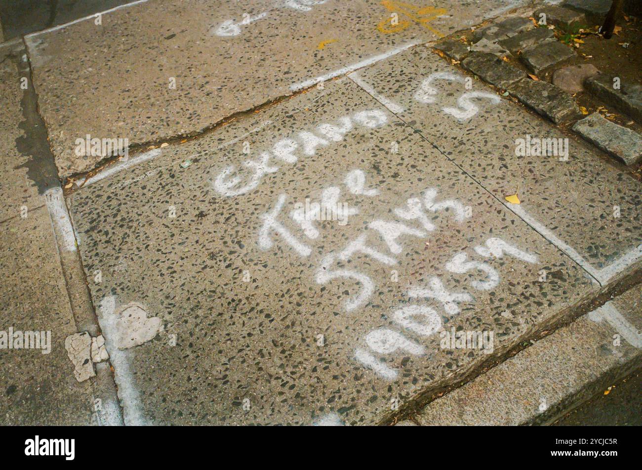 Expansion of tree pits in the Chelsea neighborhood of New York on ...