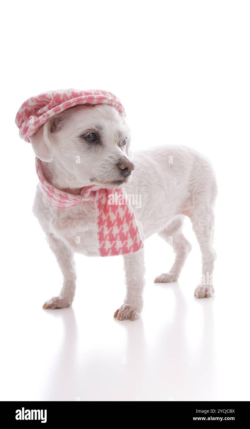 Houndstooth cap hi-res stock photography and images - Alamy