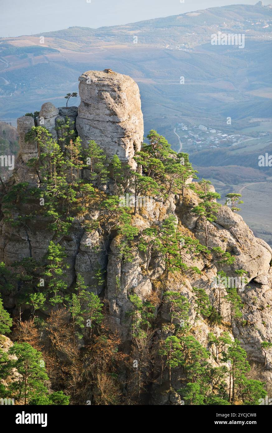 Ghosts with trees hi-res stock photography and images - Alamy