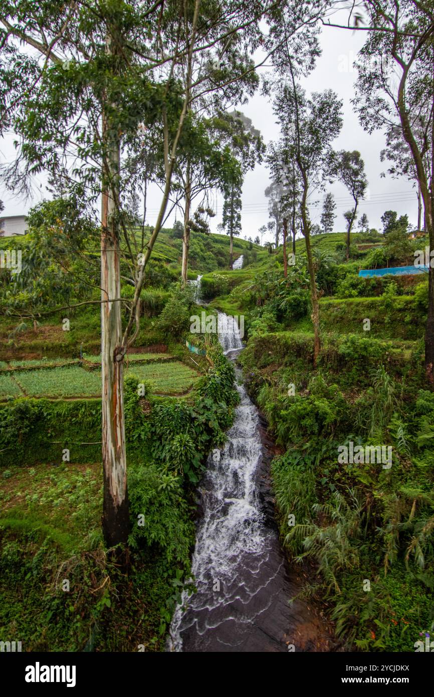 Landscape photography in the fertile highlands of the subtropical ...