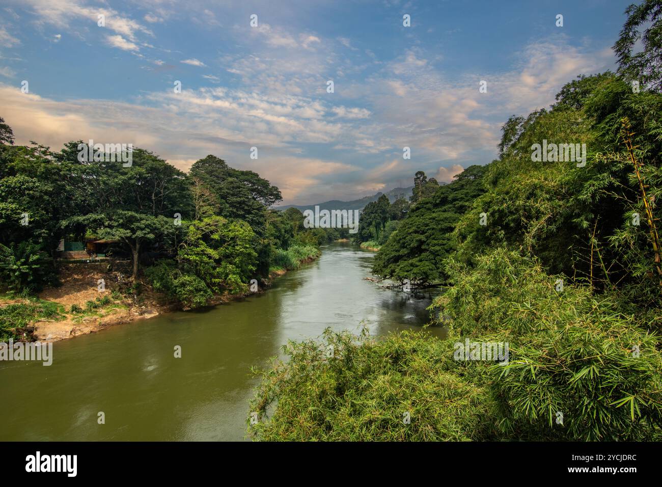 Landscape photography in the fertile highlands of the subtropical ...
