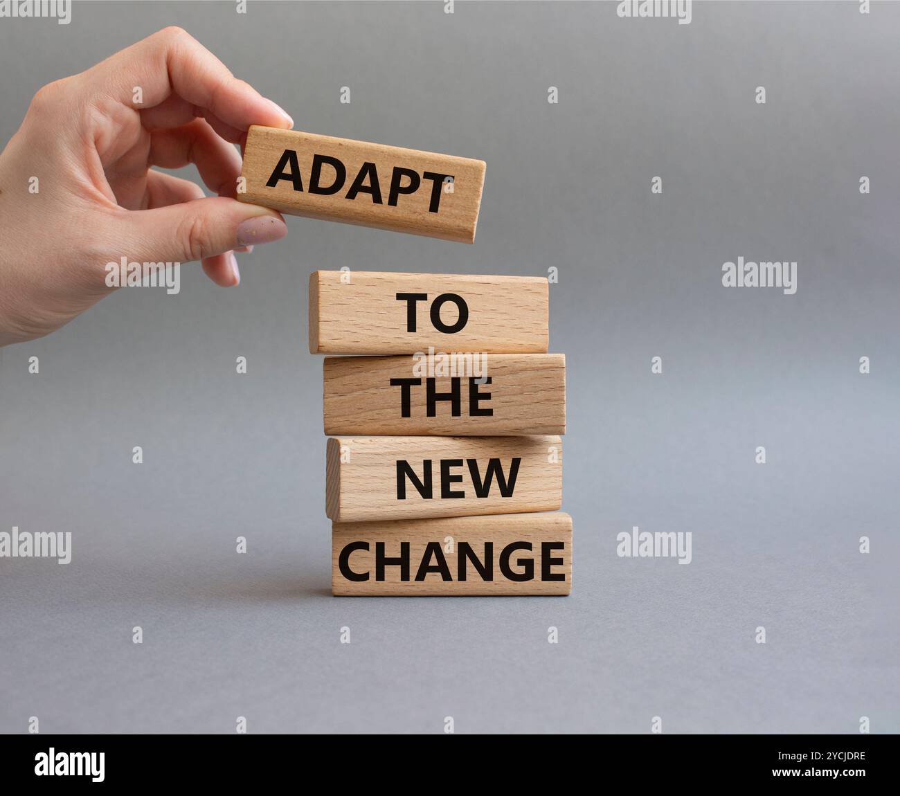 Adapt to Changes symbol. Wooden blocks with words Manage and Adapt to ...