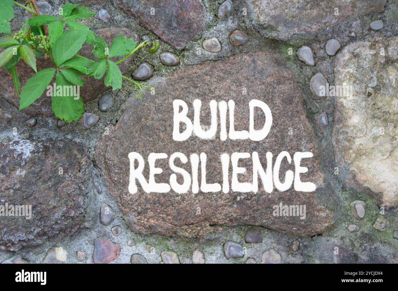 Build resilience symbol. Stone wall with words Build resilience ...