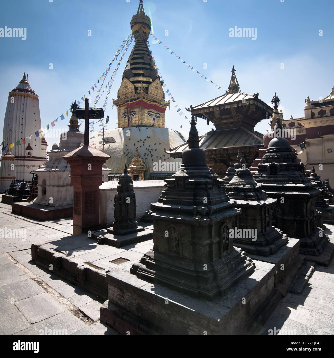 Stupa swayambhunath temple monkey hi-res stock photography and images - Alamy