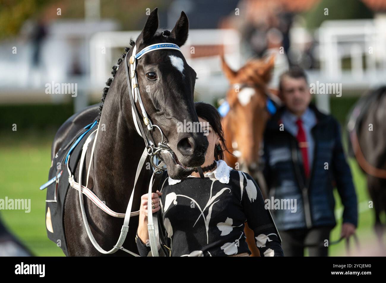 Newmarket, UK. 23rd October, 2024. Queen Himiko being walked in the ...