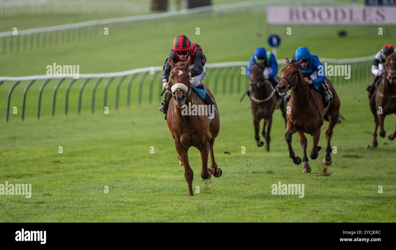 Newmarket, UK. 23rd October, 2024. Runners and riders compete in the ...