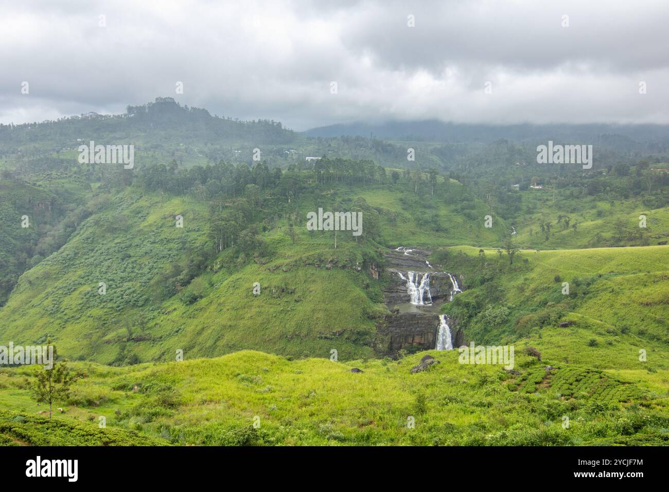 Landscape photography in the fertile highlands of the subtropical ...