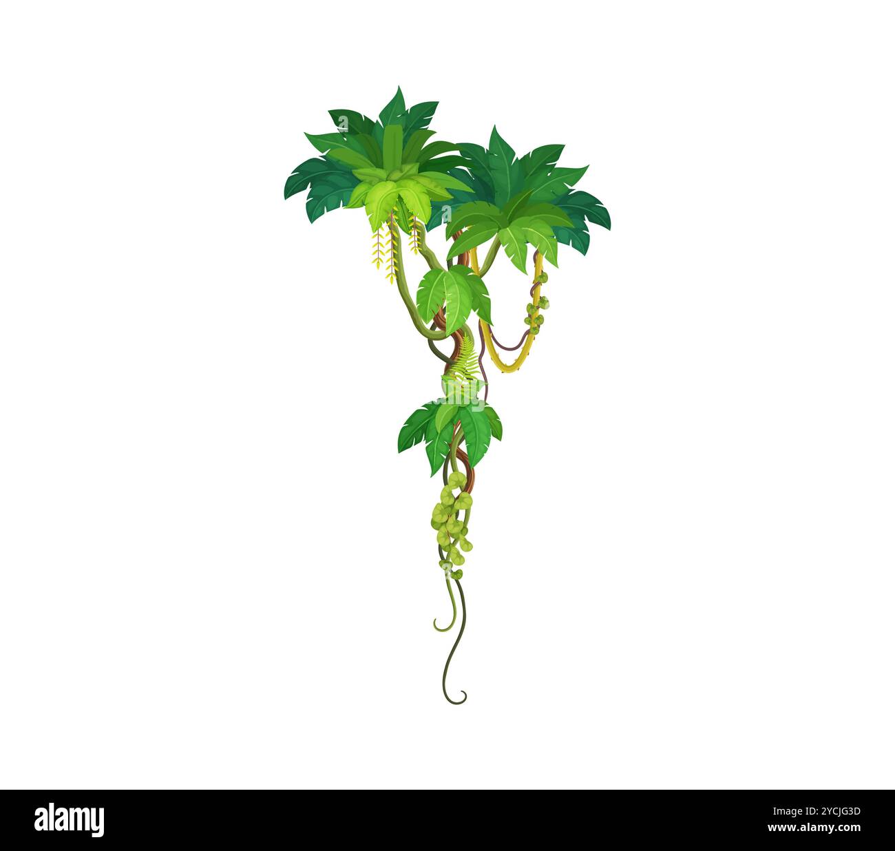 Tropical jungle rain forest vertical liana vine branch and leaves ...