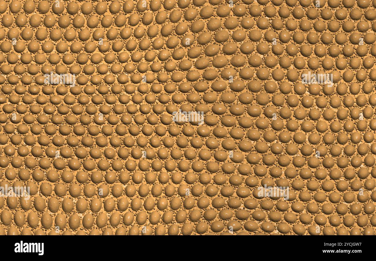 Reptile skin hi-res stock photography and images - Alamy