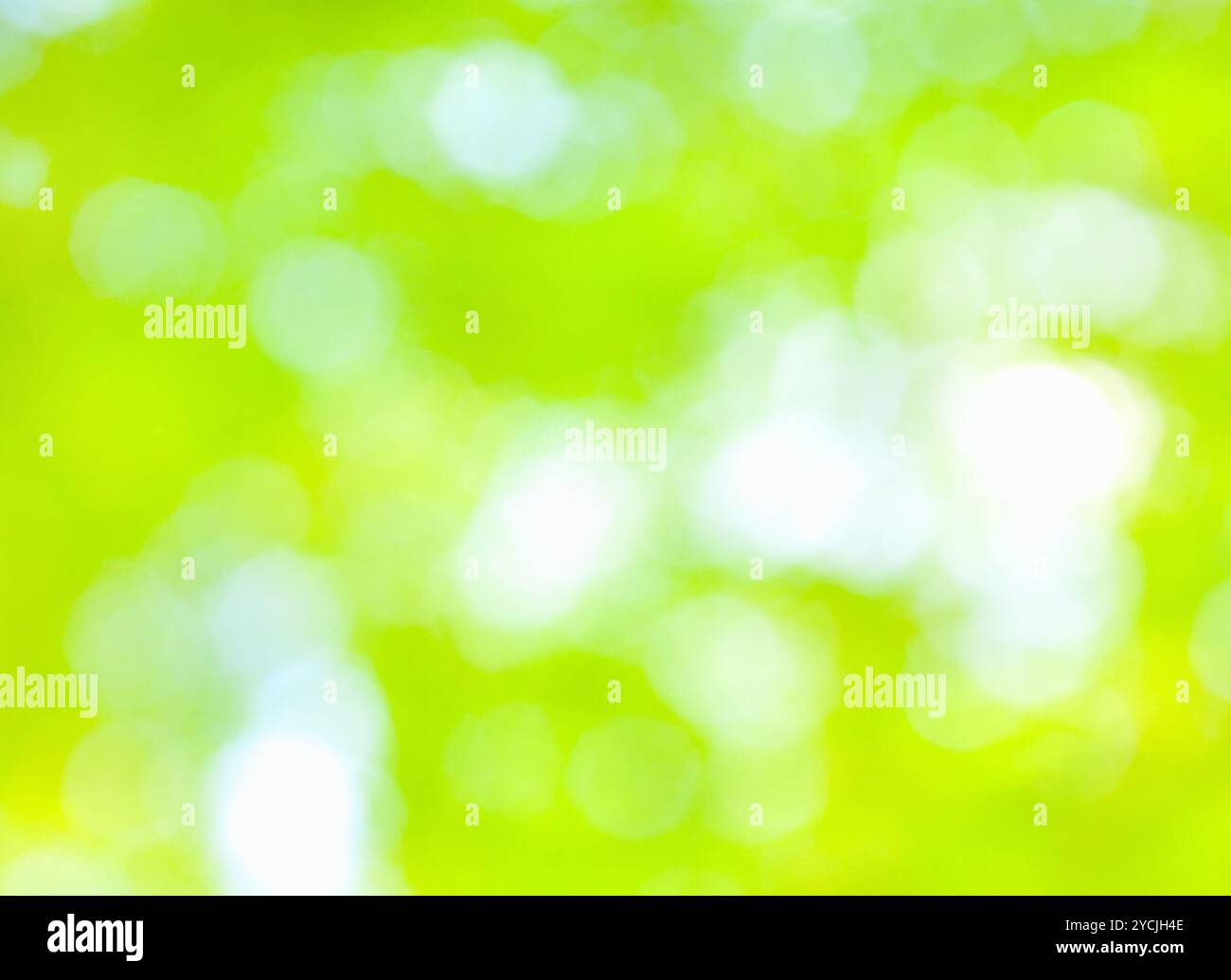 Sunny and full of light nature background Stock Photo - Alamy