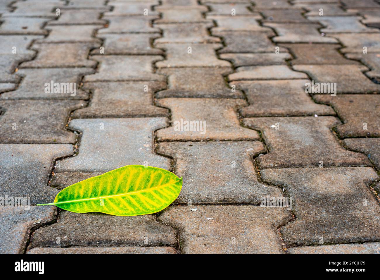 Pavers design hi-res stock photography and images - Alamy