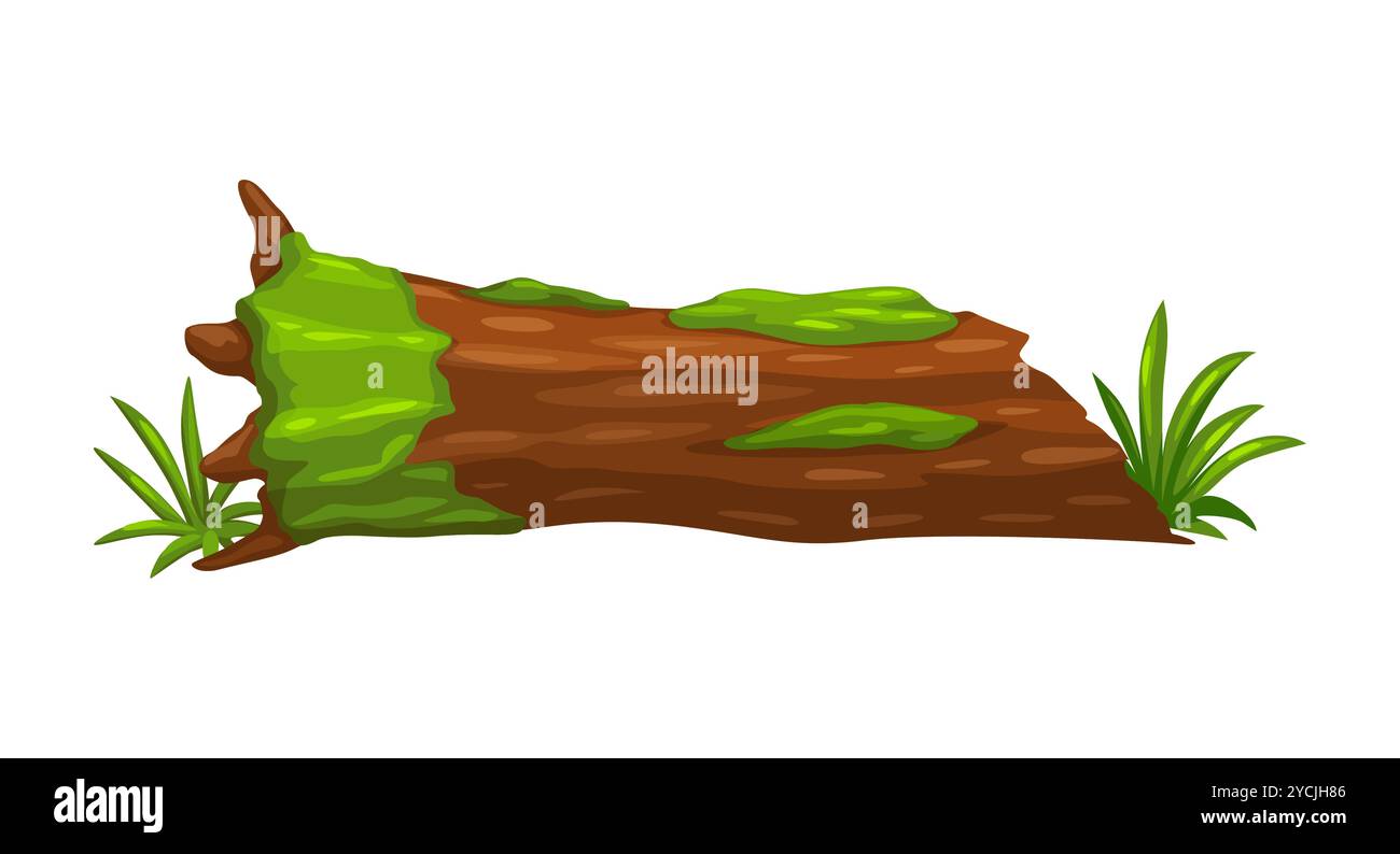 Tree trunk log for jungle landscape and prehistoric dinosaur era ...