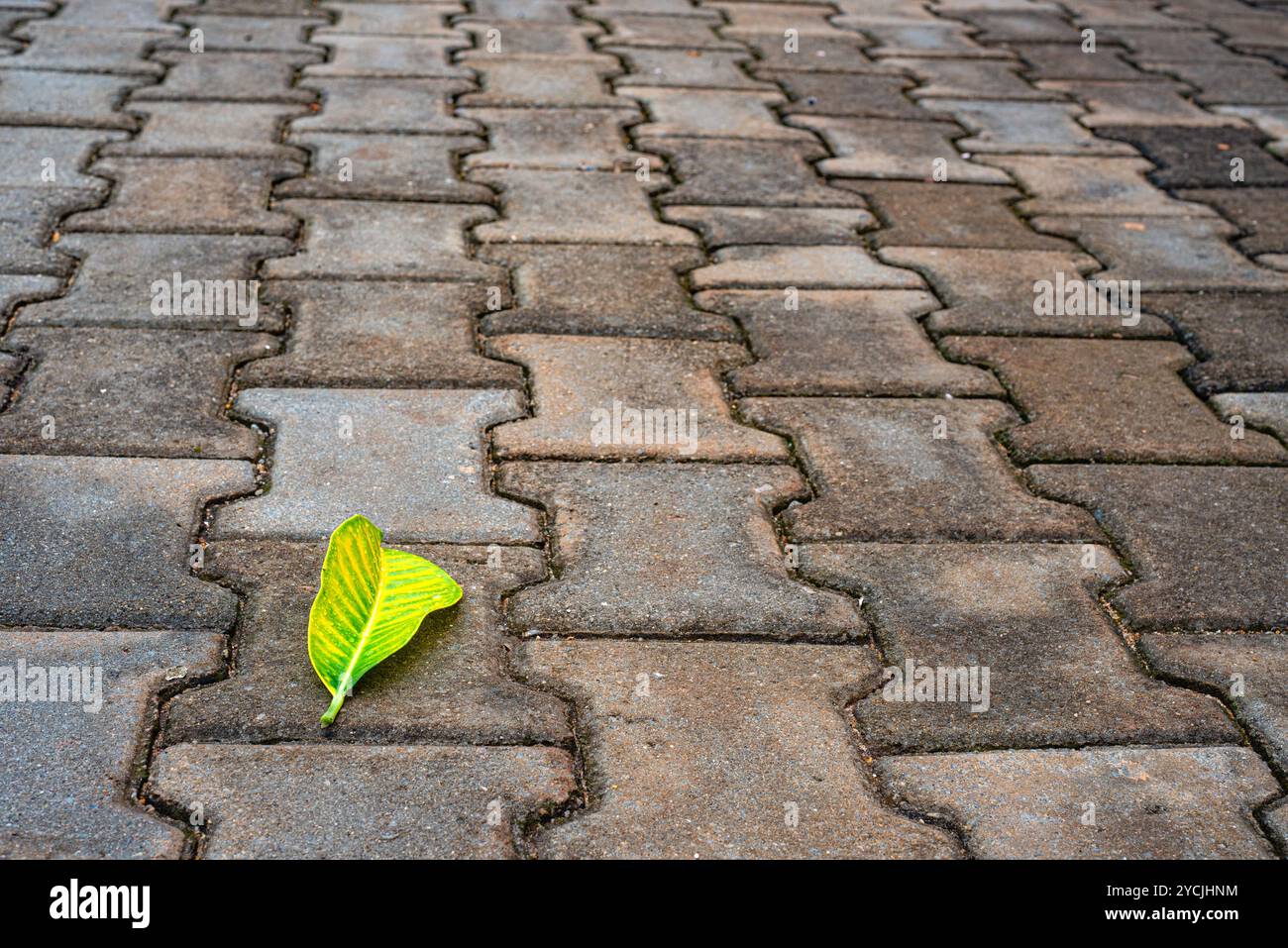 Pavers design hi-res stock photography and images - Alamy