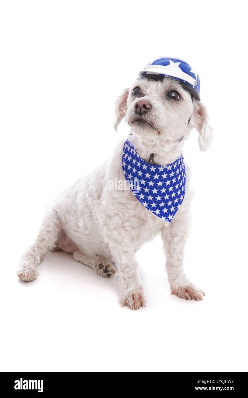 Cute helmet Cut Out Stock Images & Pictures - Alamy