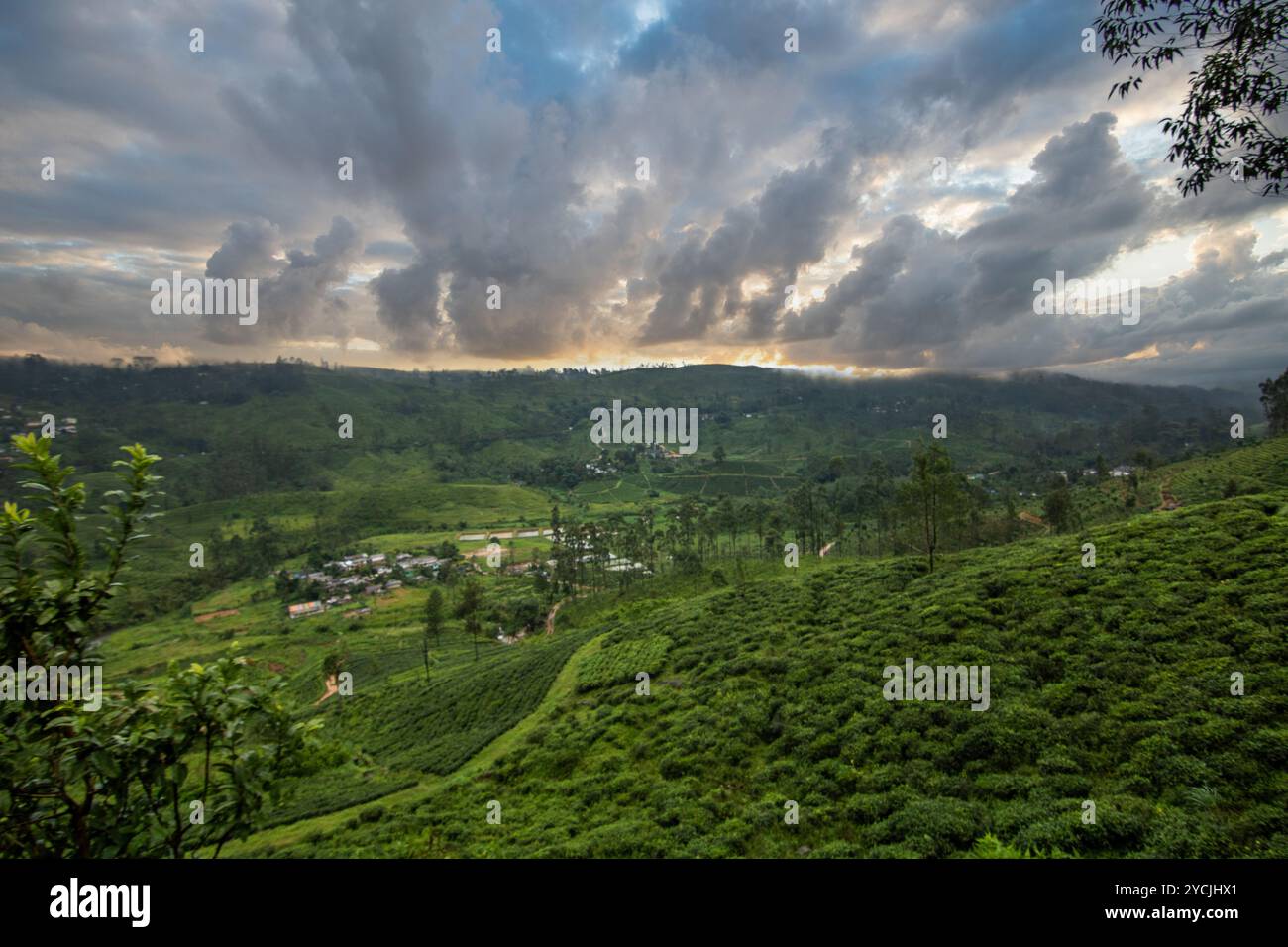 Landscape of the fertile highlands in a subtropical climate. Jungle ...