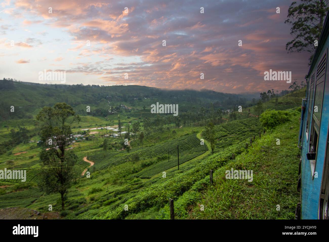 Landscape of the fertile highlands in a subtropical climate. Jungle ...