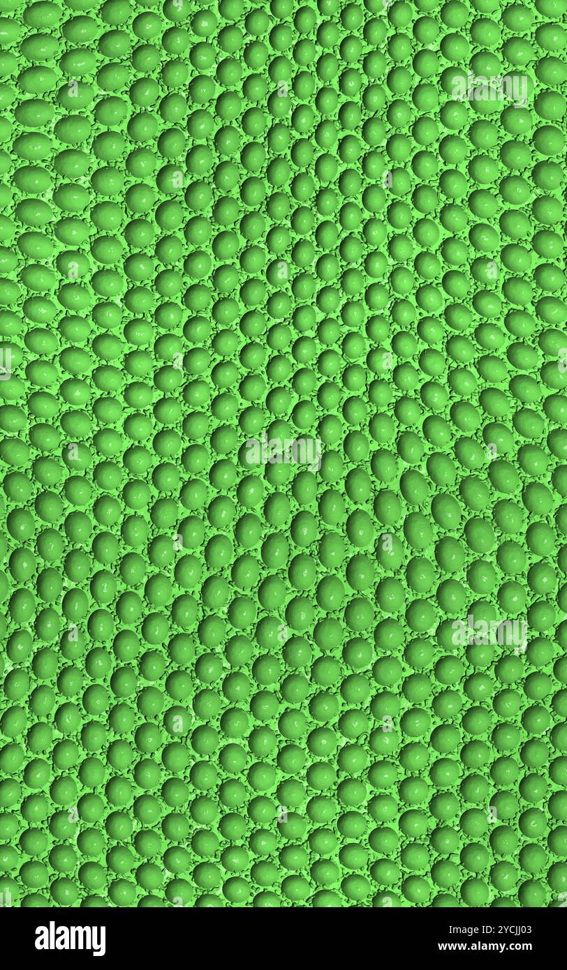 Reptile print bag hi-res stock photography and images - Alamy