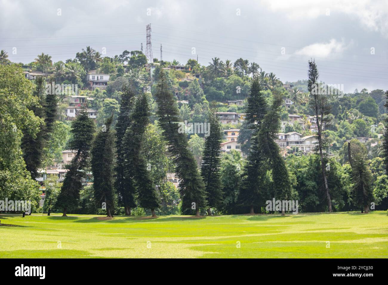 Landscape of the fertile highlands in a subtropical climate. Jungle ...