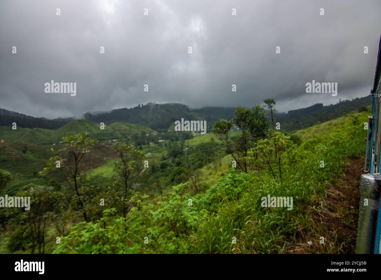 Landscape of the fertile highlands in a subtropical climate. Jungle ...
