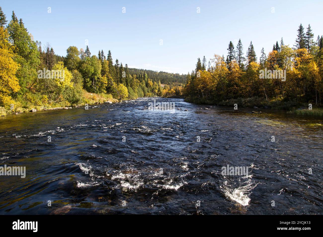 Rapid running water river sun hi-res stock photography and images - Alamy