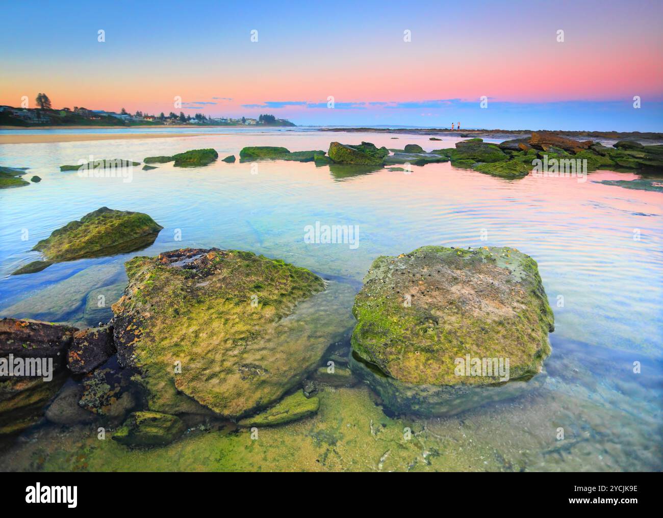 Moss covered rocks on the reef shelf, Australia Stock Photo - Alamy