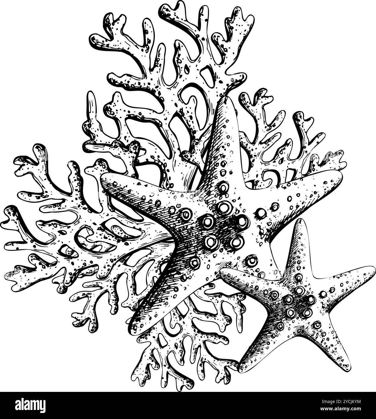 Starfish with coral branches. Hand drawn graphic illustration in black ...