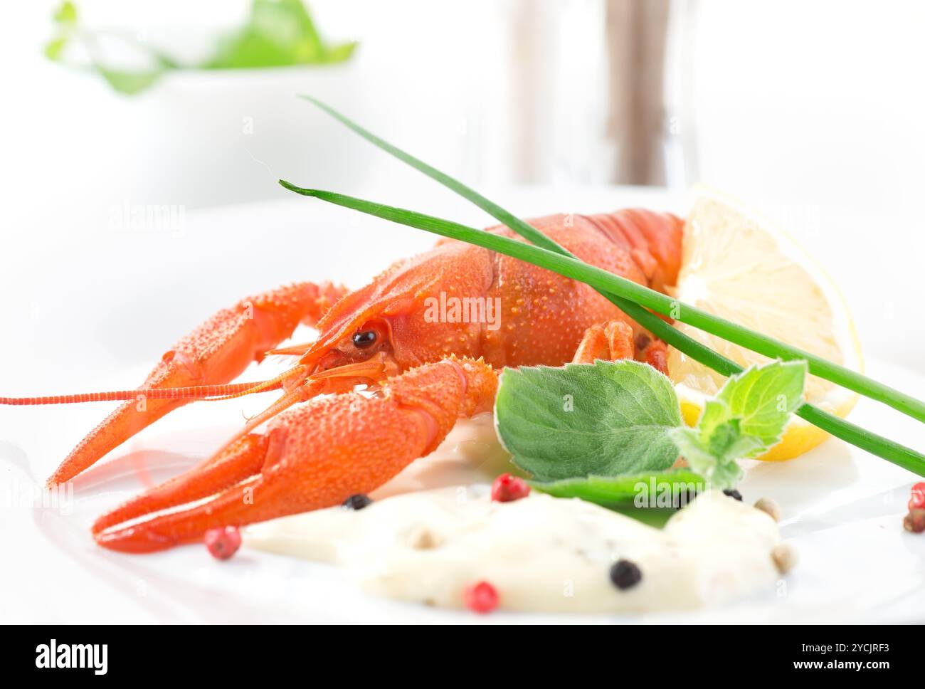Cooked crayfish crab claws hi-res stock photography and images - Alamy