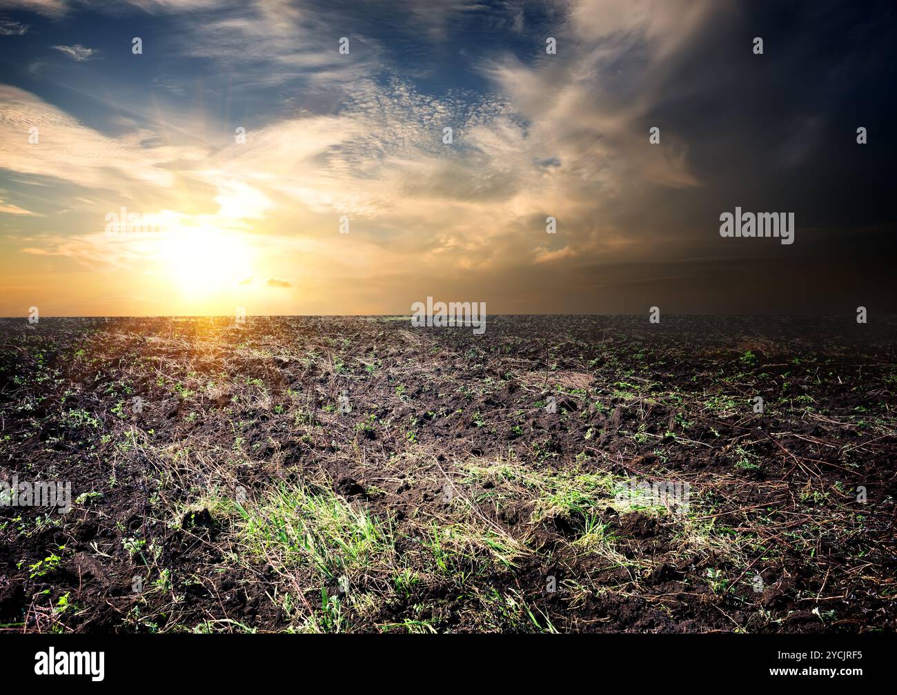 Sunrise over field grass hi-res stock photography and images - Alamy
