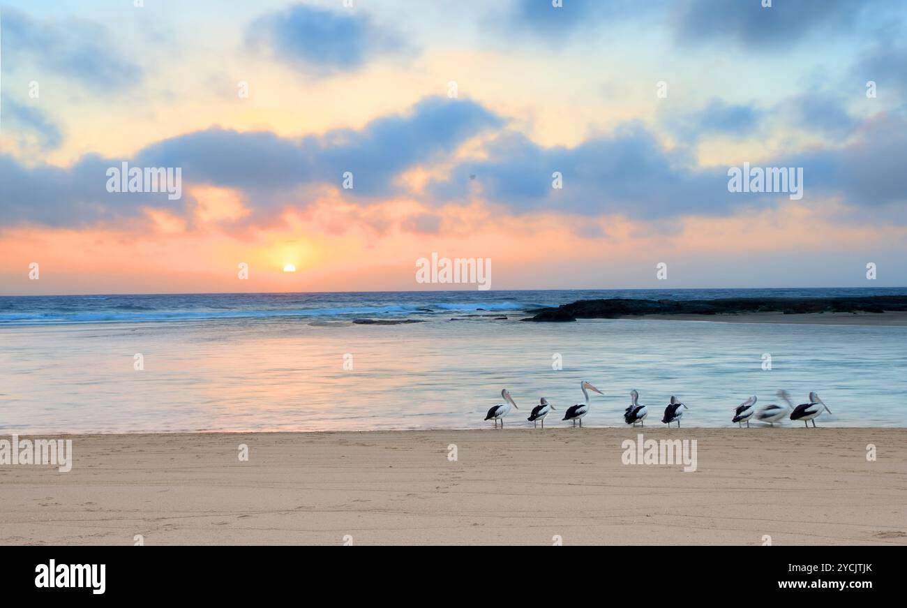 Sunrise at The Entrance North, Australia Stock Photo - Alamy