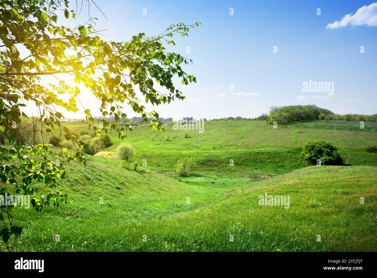 Tranquil suburban background hi-res stock photography and images - Alamy