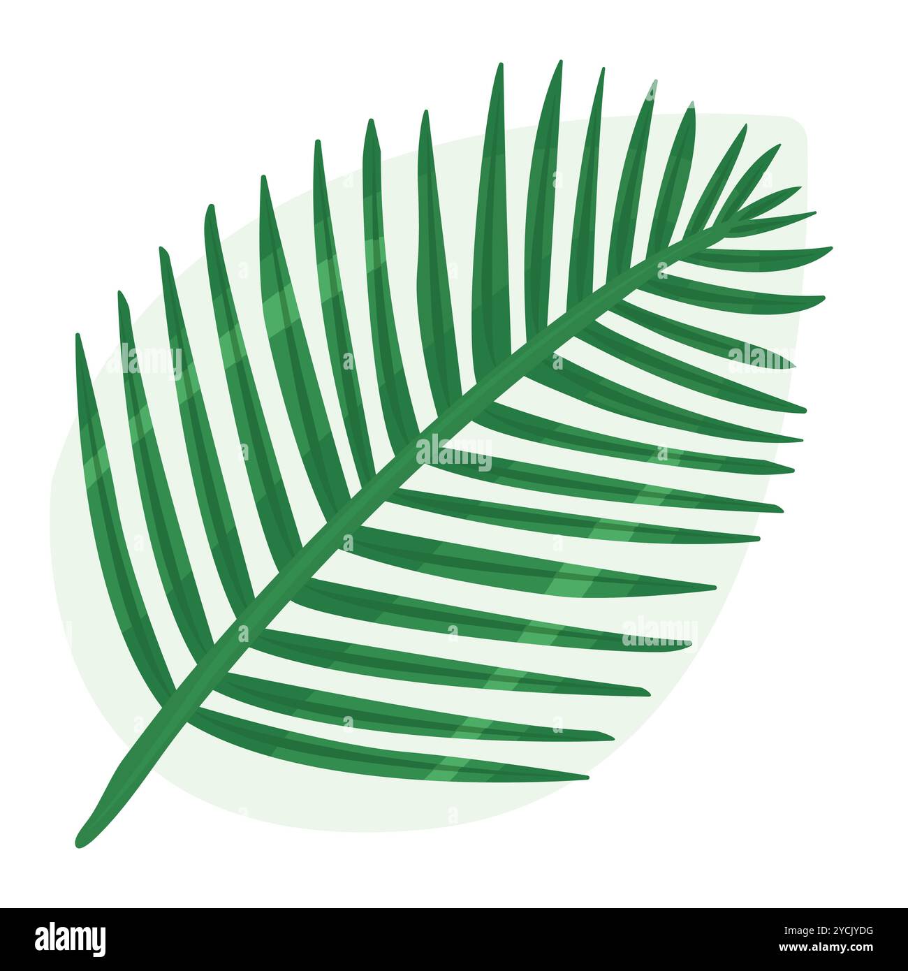Color exotic branch plant Cut Out Stock Images & Pictures - Alamy