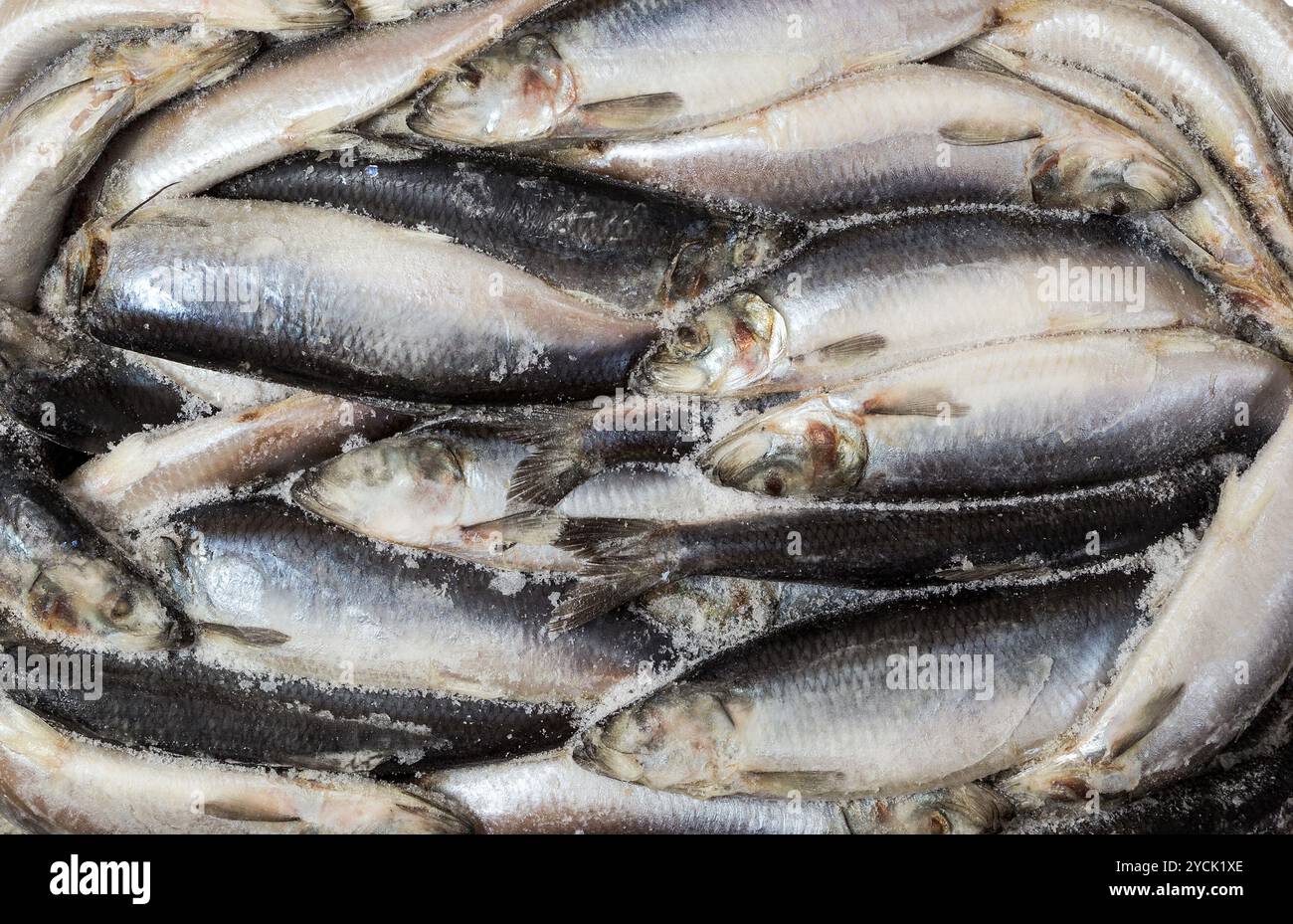 frozen carcass fish in brick for trade, background Stock Photo - Alamy