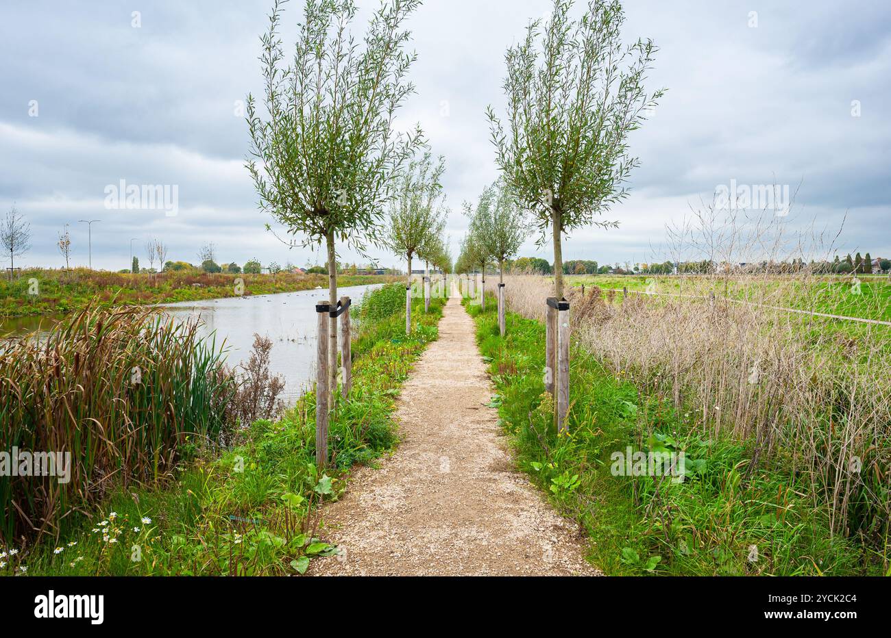 The wind in the willows hi-res stock photography and images - Alamy