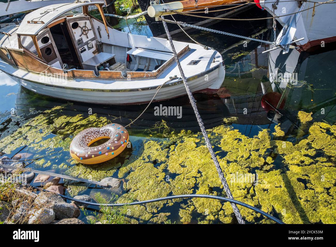 A rubber flotation device shaped like a donut with sprinkles Stock ...