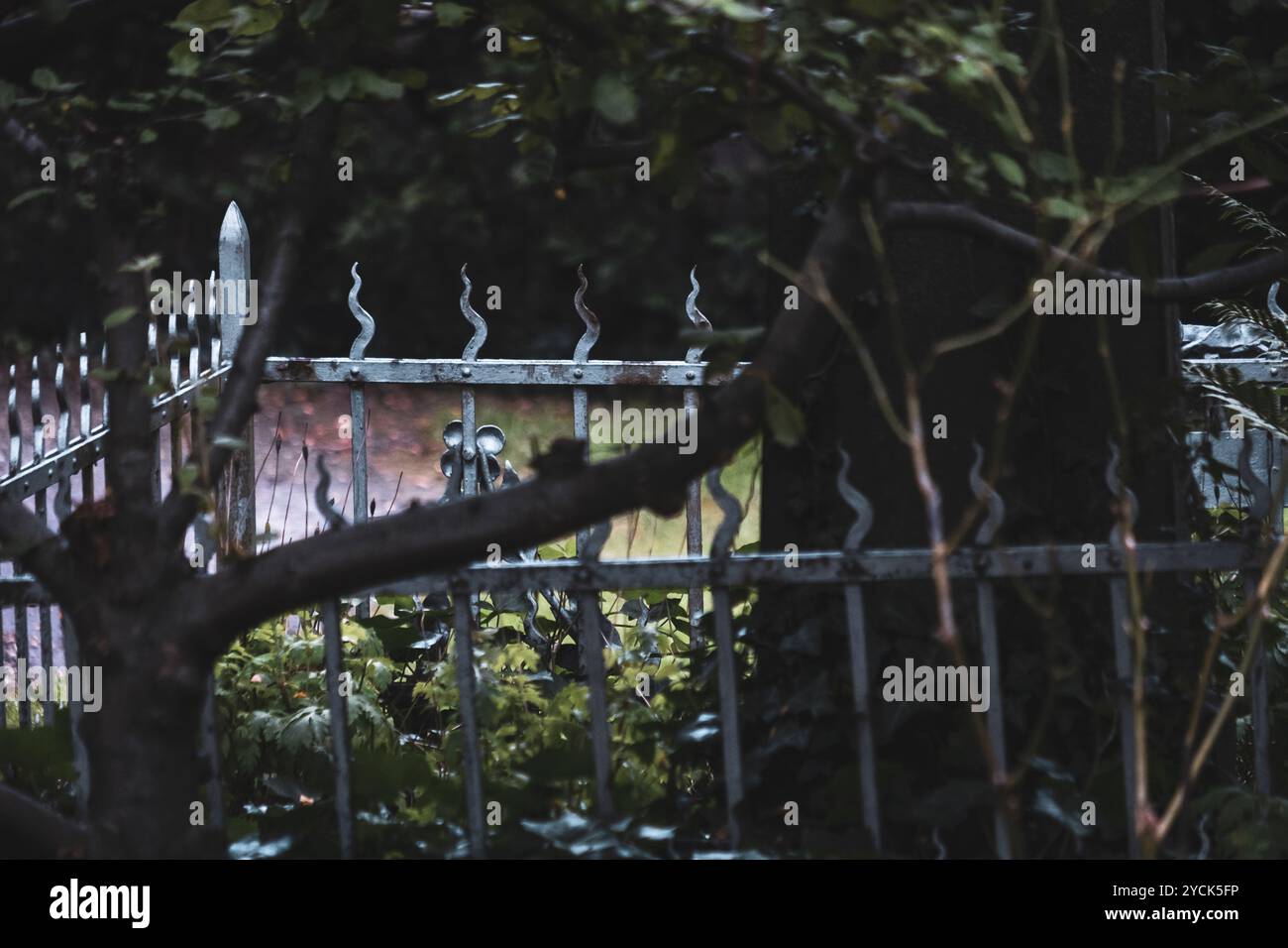 Forest gate cemetery hi-res stock photography and images - Alamy