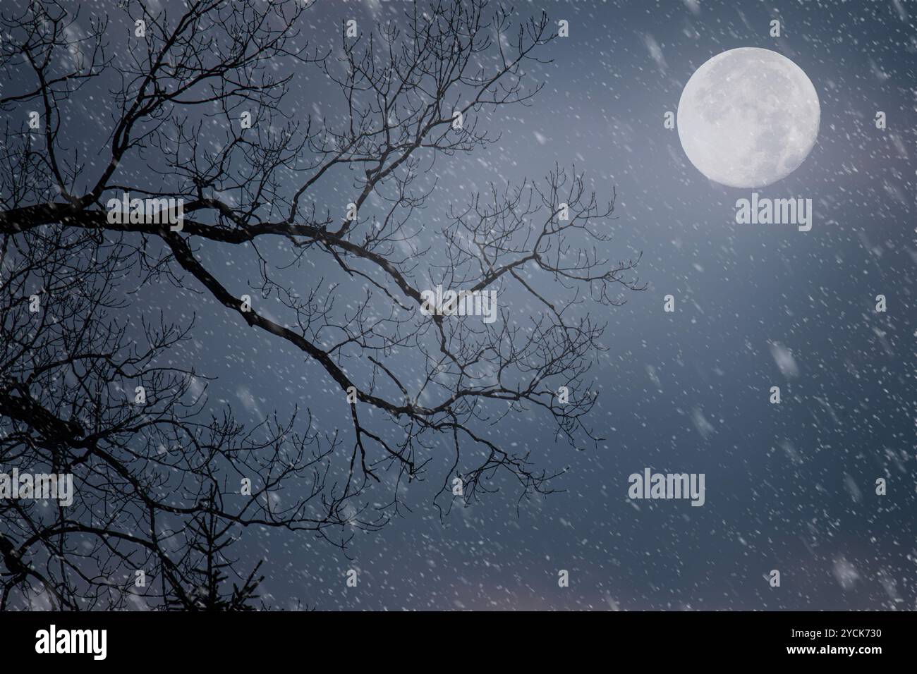 Winter snowfalls lit by moonlight Stock Photo - Alamy