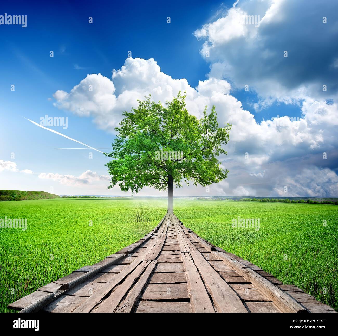 Green tree and bridge Stock Photo - Alamy