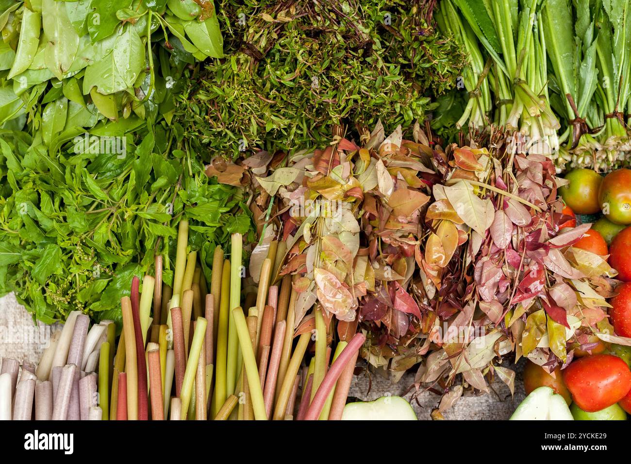 Fresh organic herbs, spices and liliy stems Stock Photo - Alamy