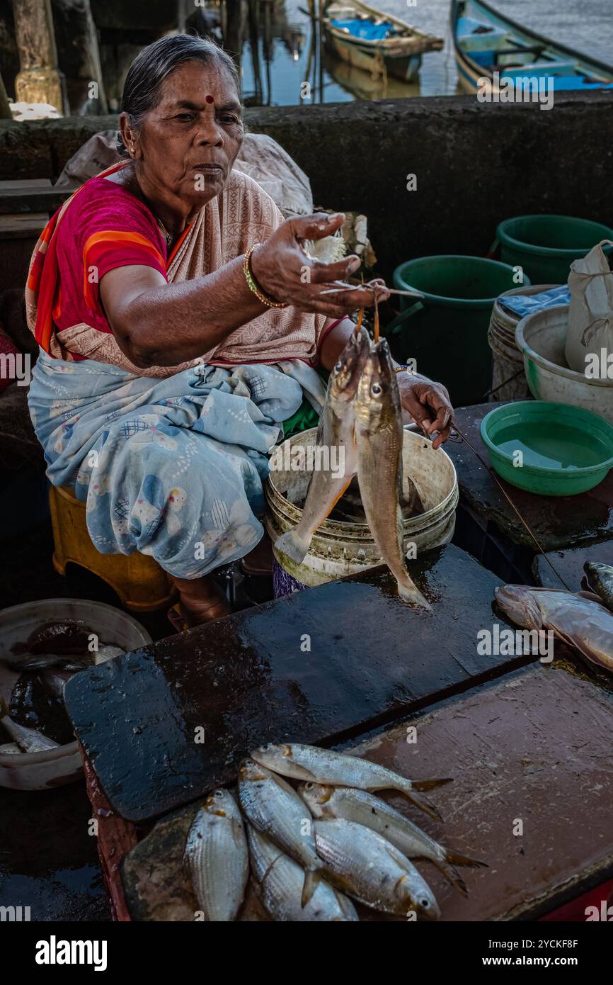 Indian woman selling fish hi-res stock photography and images - Alamy