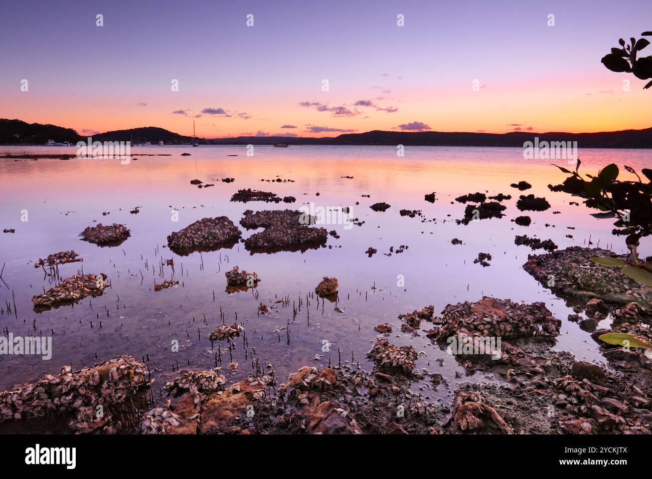 Tidal shallows at sunset sundown Stock Photo - Alamy