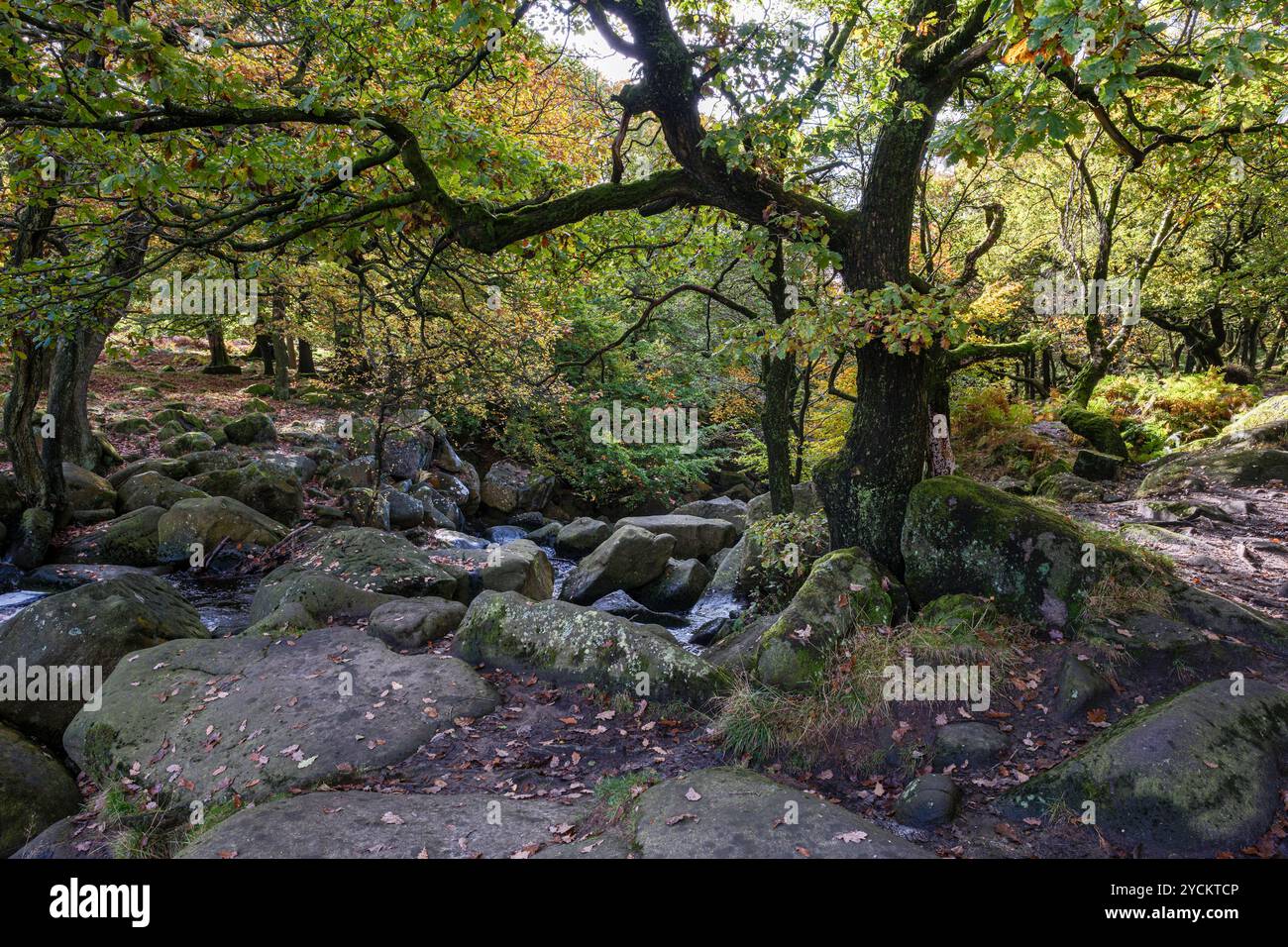 Padley Gorge, Peak District National Park, Derbyshire Stock Photo - Alamy