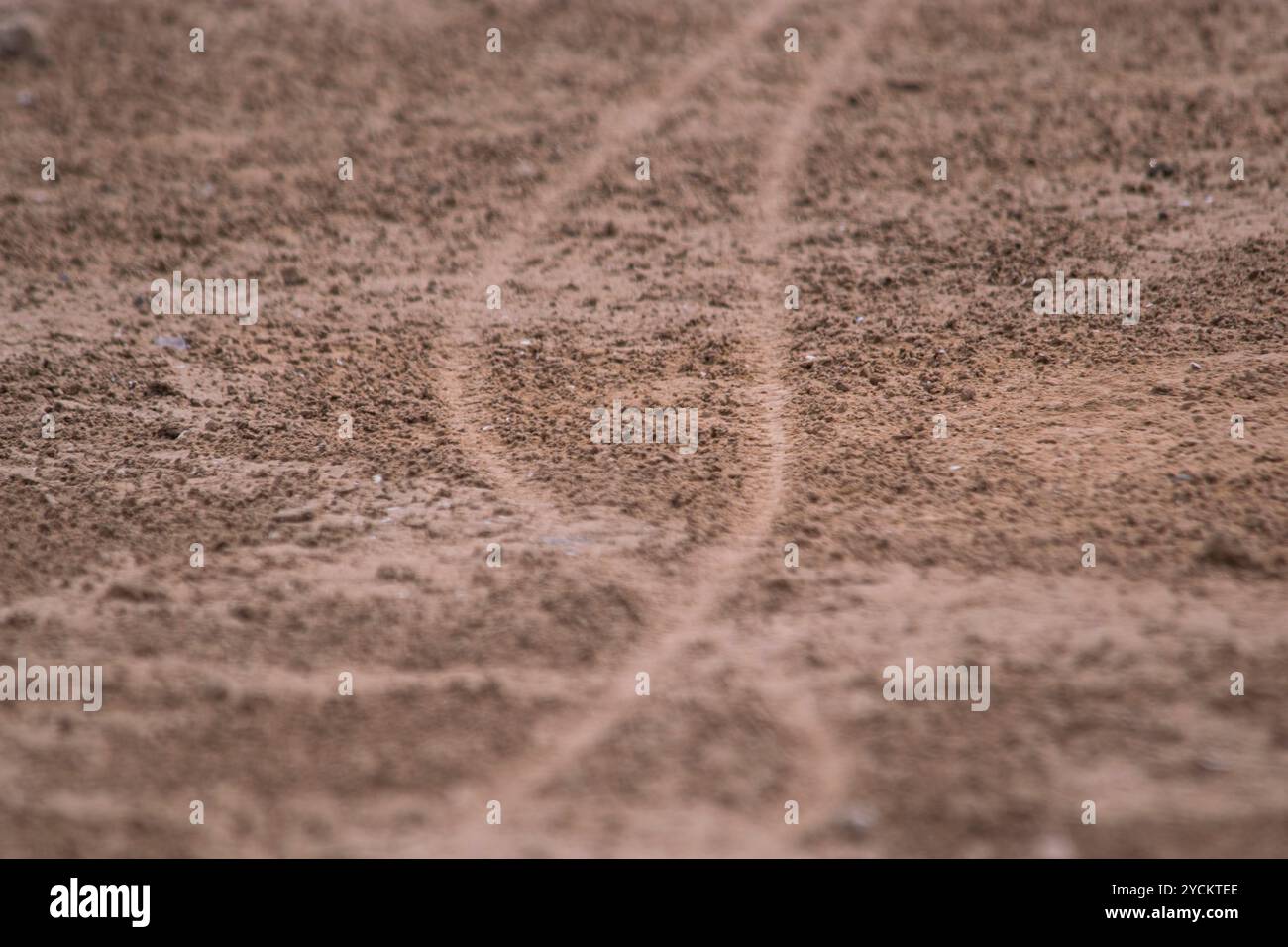 Desert Trails in the sand Stock Photo - Alamy