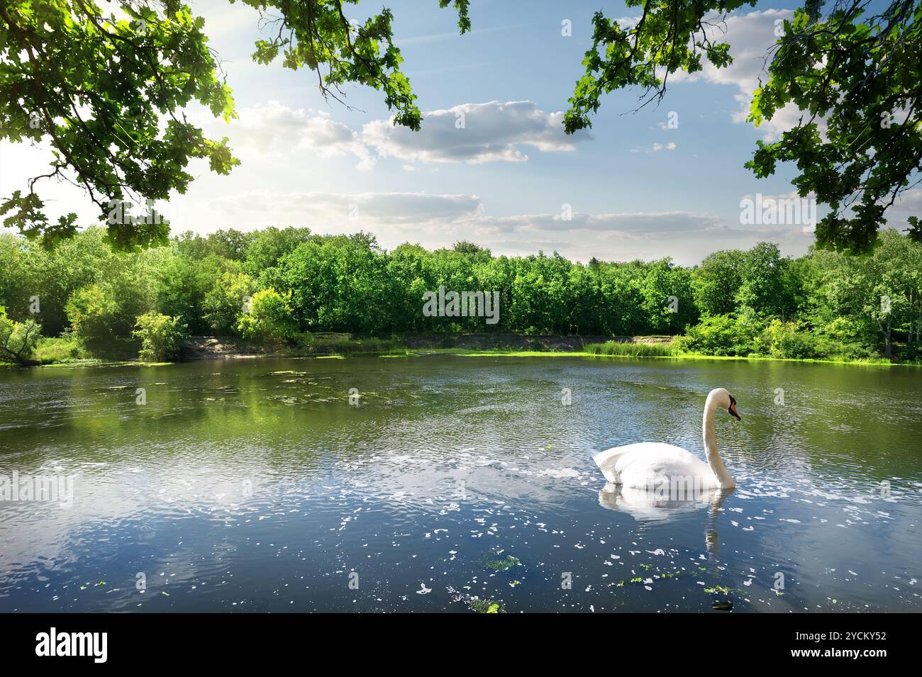 Reflection on swan river hi-res stock photography and images - Alamy