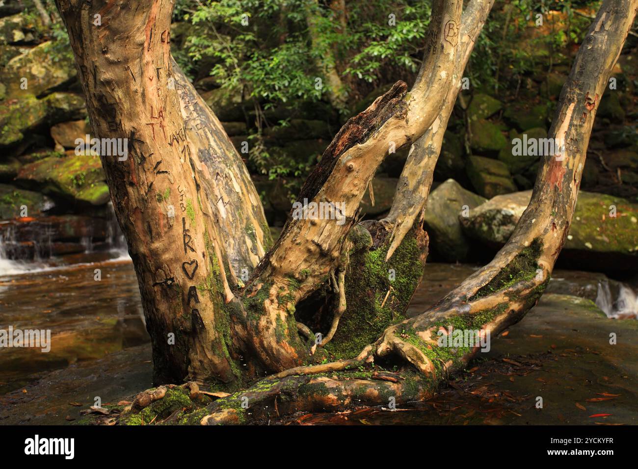Carved Love Tree Stock Photo - Alamy